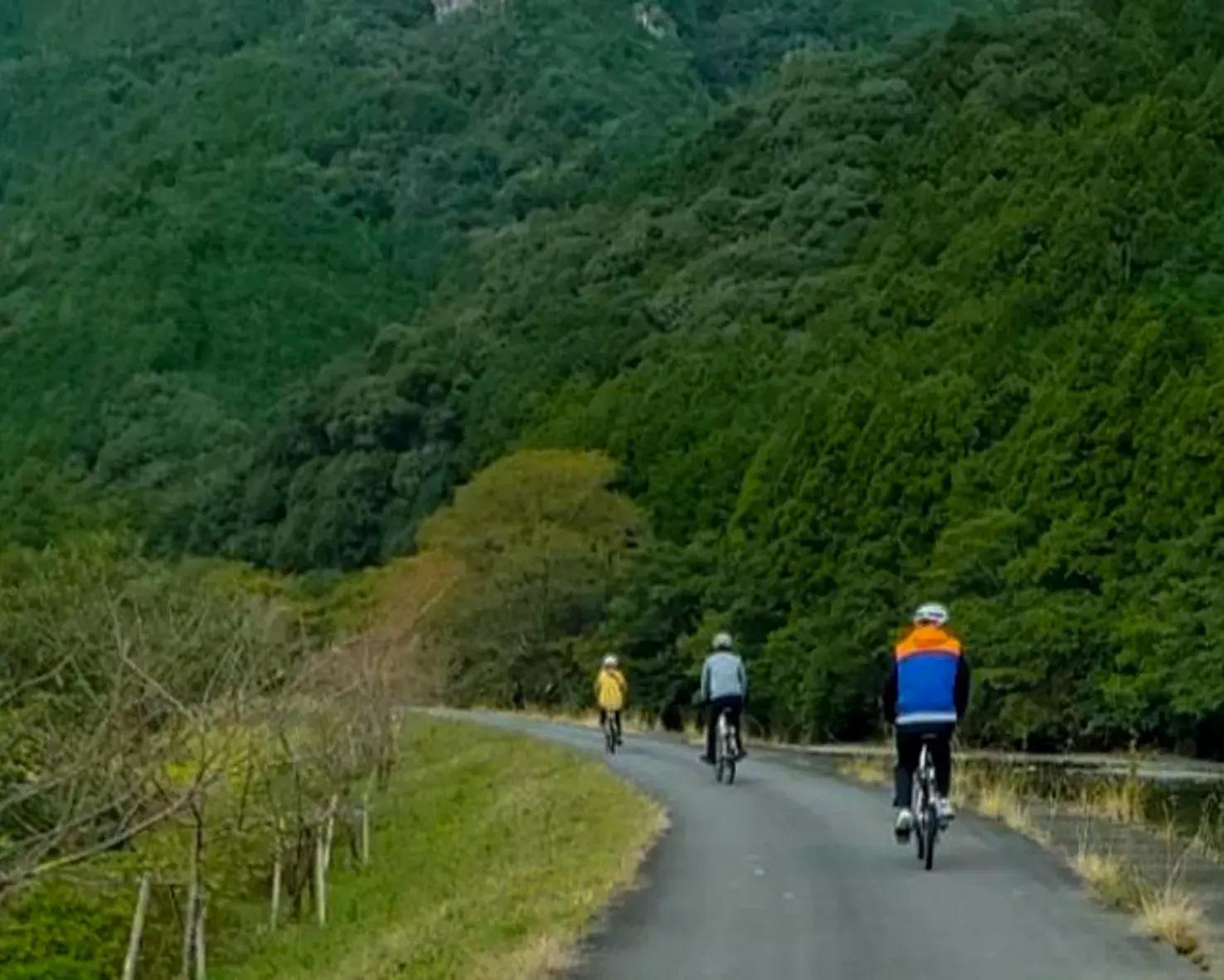 E-bike Tour of Shinto Shrine and Ouchiyama Milk Village - Must-See Trip ...